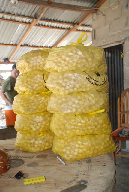 Betulianos: ELABORACION DEL DIABOLIN